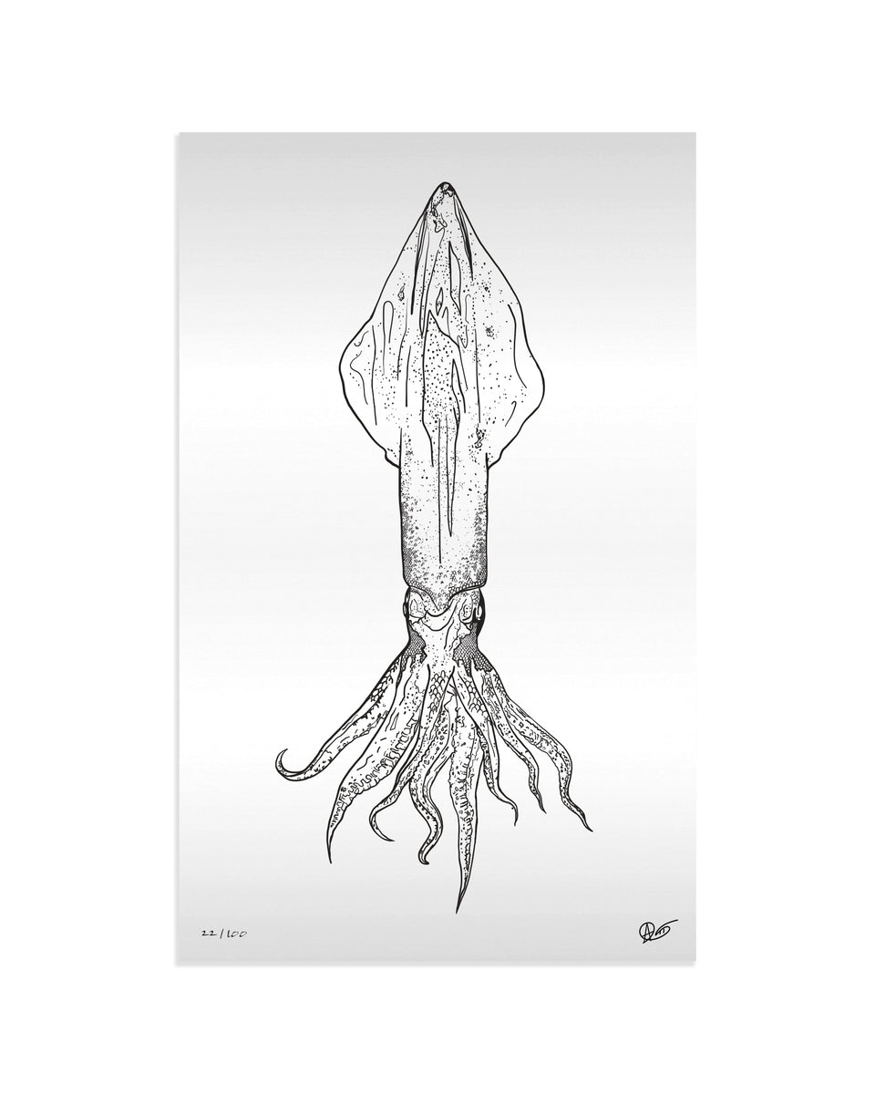 Market Squid Metal Print by Alex Czech | Limited Edition Artwork – UROKO