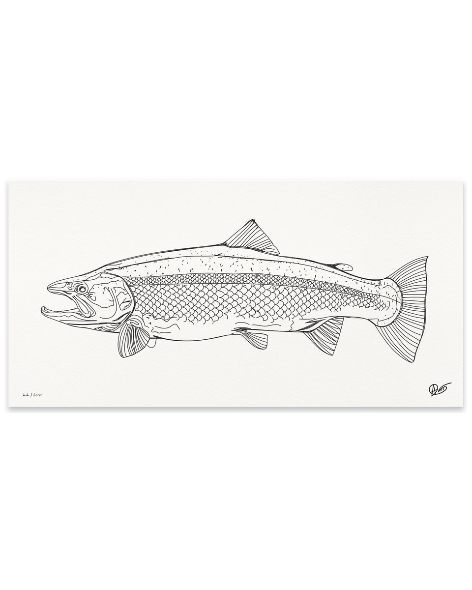 Steelhead Canvas Print by Alex Czech | Limited Edition Artwork – UROKO